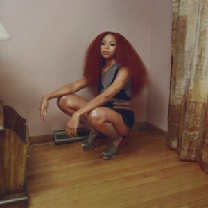 R&Bシンガー・ソングライター、Ravyn Lenae（レイヴン・レネー）が待望のセカンド・アルバム『Bird’s Eye』を8月9日に ...